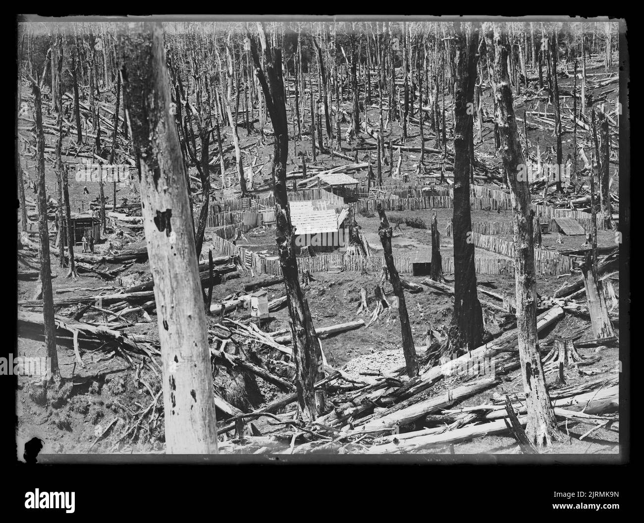 Nelson high country nelson high country hi-res stock photography and ...