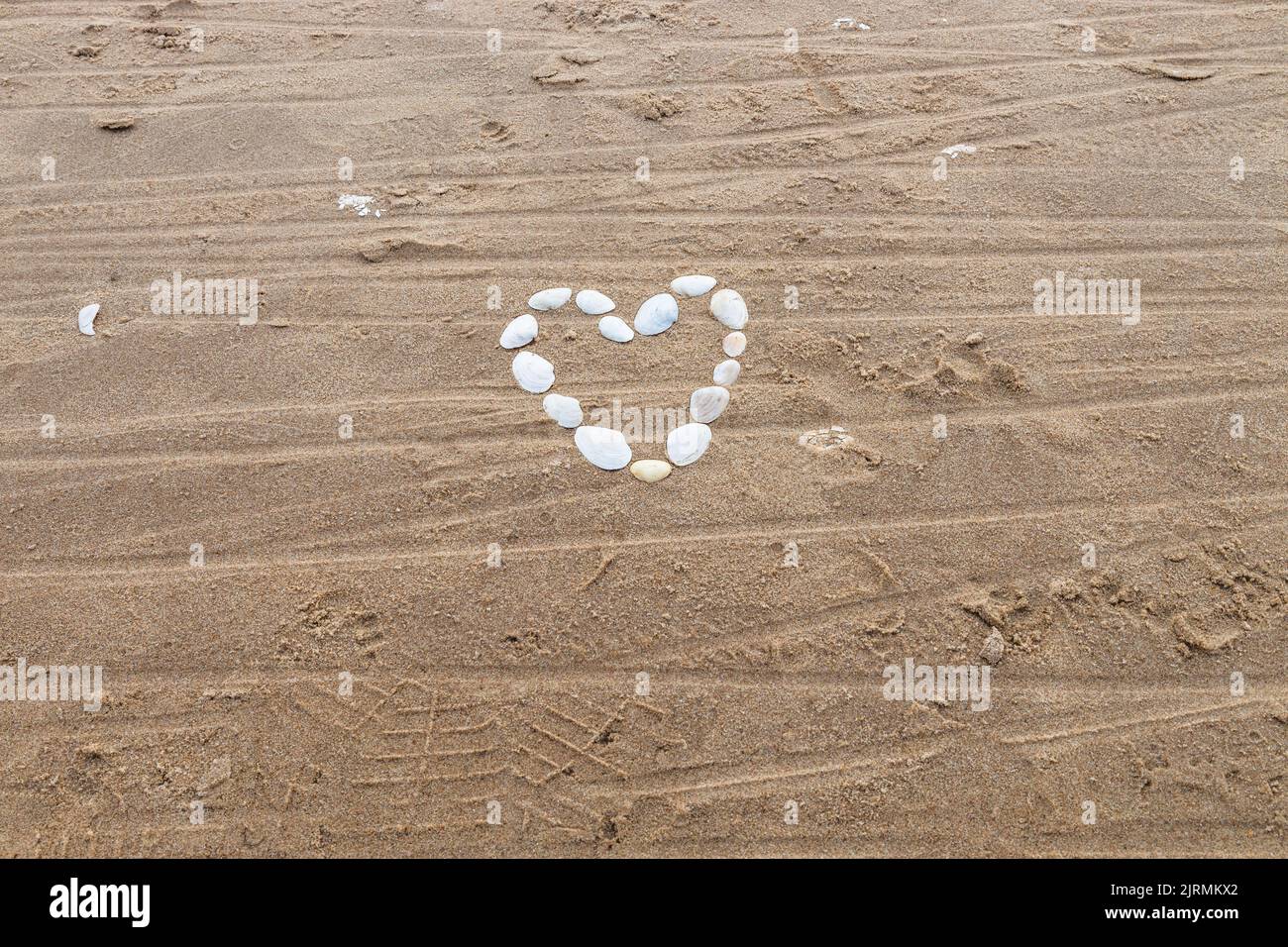 Heart made of sea shells at the sea beach. Holiday love concept Stock ...