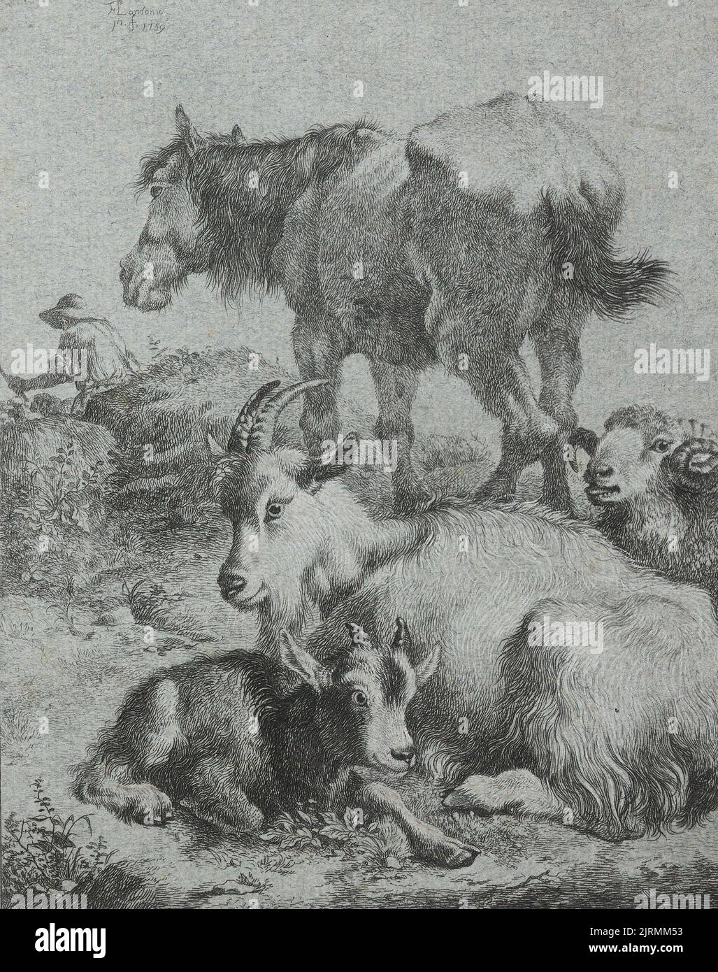 Goats, ram and a horse., 1759, Italy, by Francesco Londonio. Gift of ...