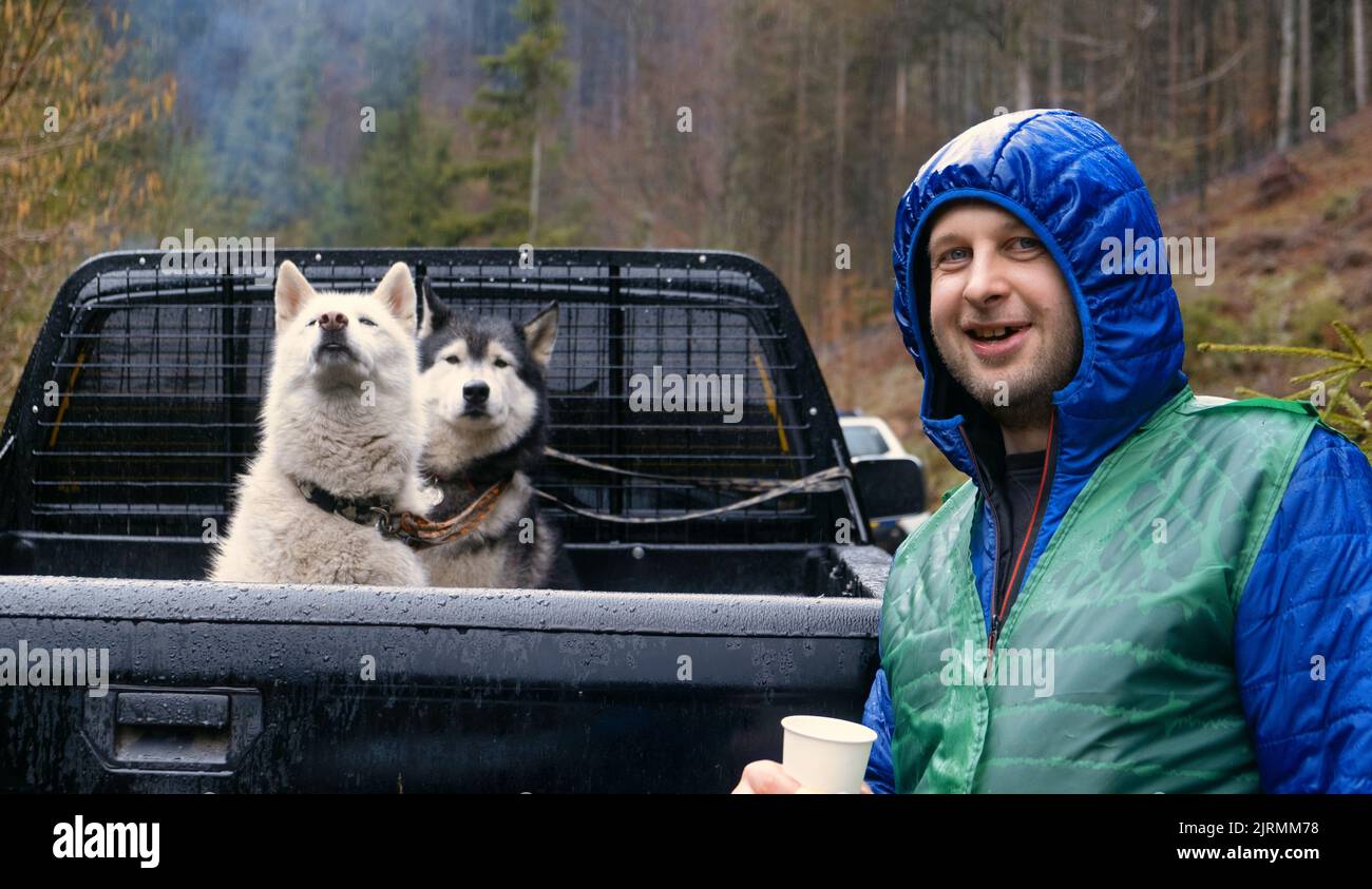 traveler with siberian tow beautiful husky dog in the wagon car. person ...