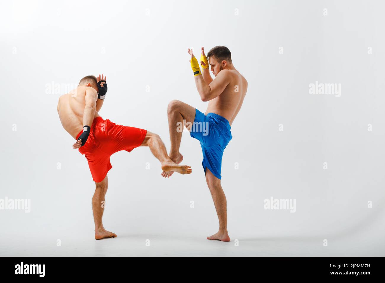 Two men boxers fighting muay thai boxing white background Stock Photo ...