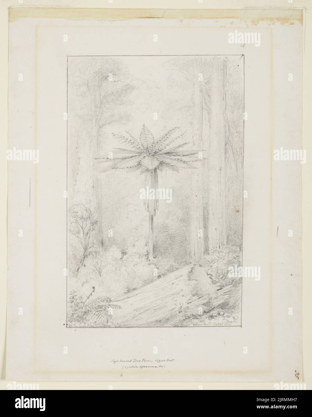 William turton hi-res stock photography and images - Alamy