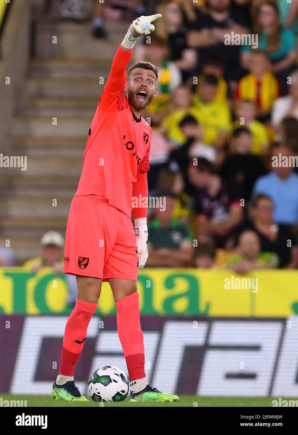 Angus gunn norwich hi-res stock photography and images - Alamy