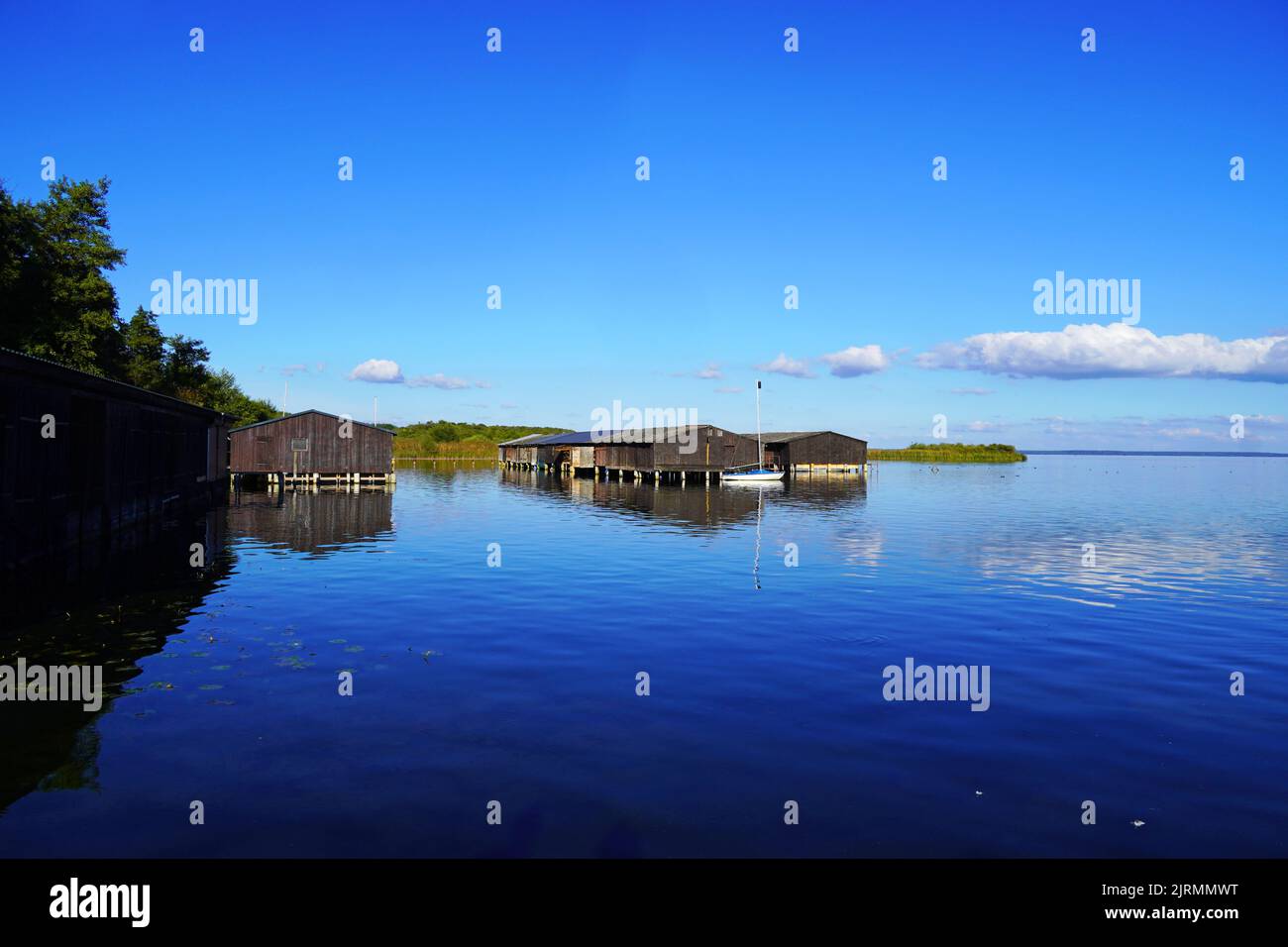 Landscape overlooking a lake in the Müritz National Park. Mecklenburg ...