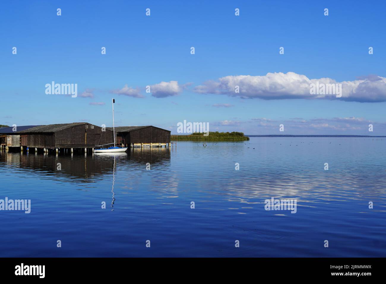Landscape overlooking a lake in the Müritz National Park. Mecklenburg ...