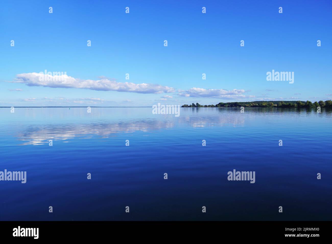 Landscape overlooking a lake in the Müritz National Park. Mecklenburg ...