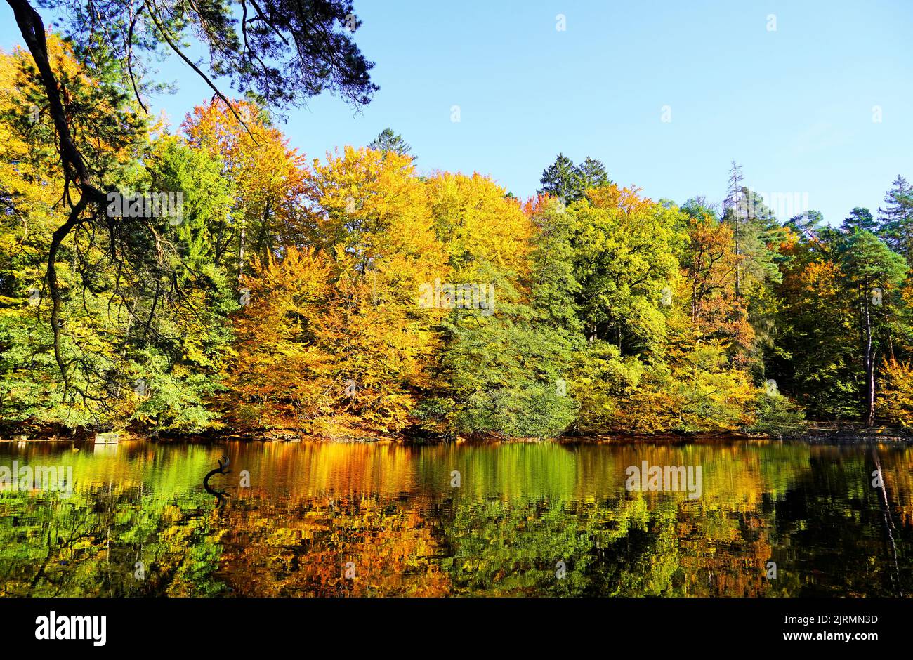 Autumn landscape with brightly colored leaves and reflections in the ...