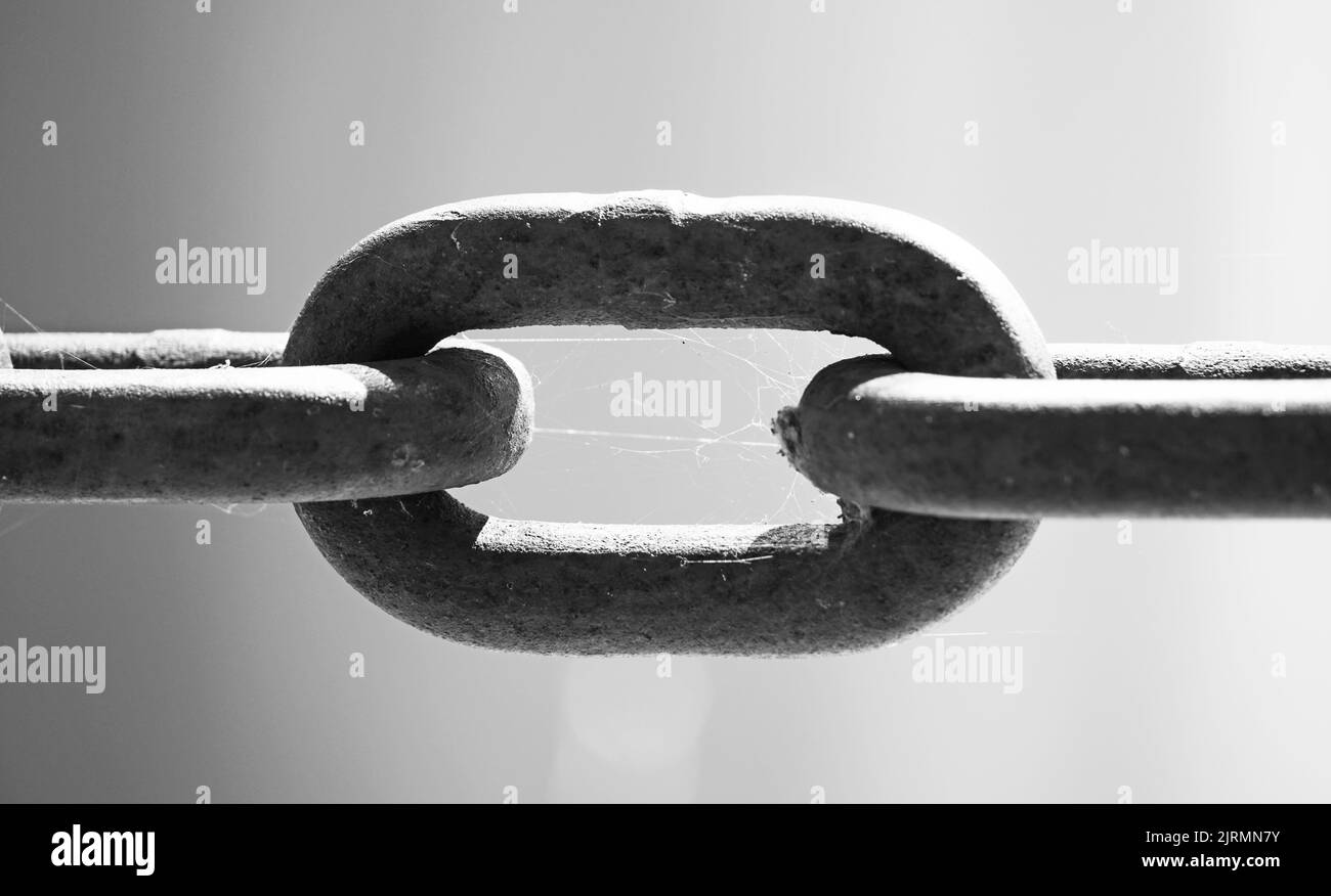 Strong connection hi-res stock photography and images - Alamy