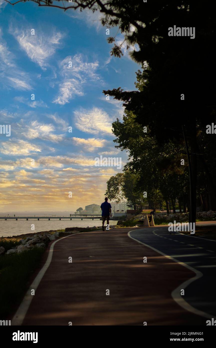 A silhouette of male walking through path surrounded by growing trees ...