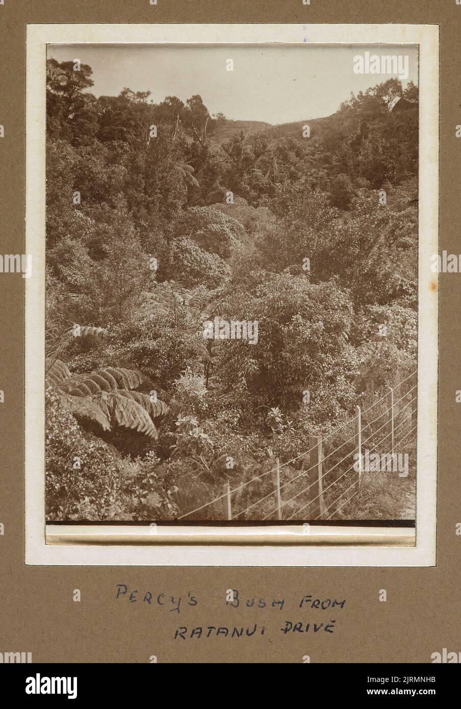 Ratanui hi-res stock photography and images - Alamy