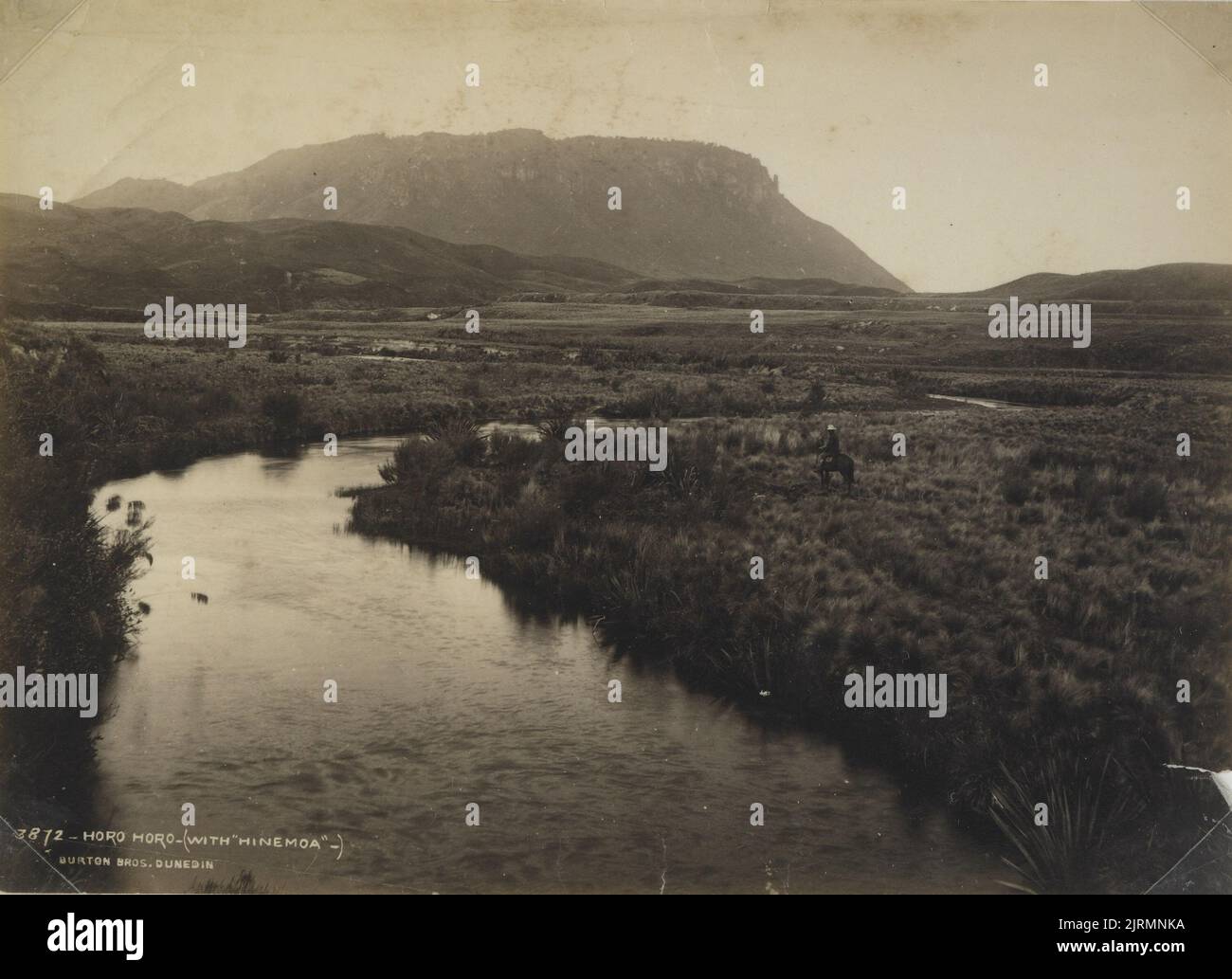 Horohoro hi-res stock photography and images - Alamy