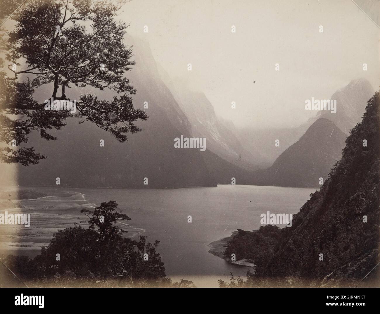 Sinbad Gully, Milford Sound, 1882, Dunedin, by Burton Brothers, Alfred ...