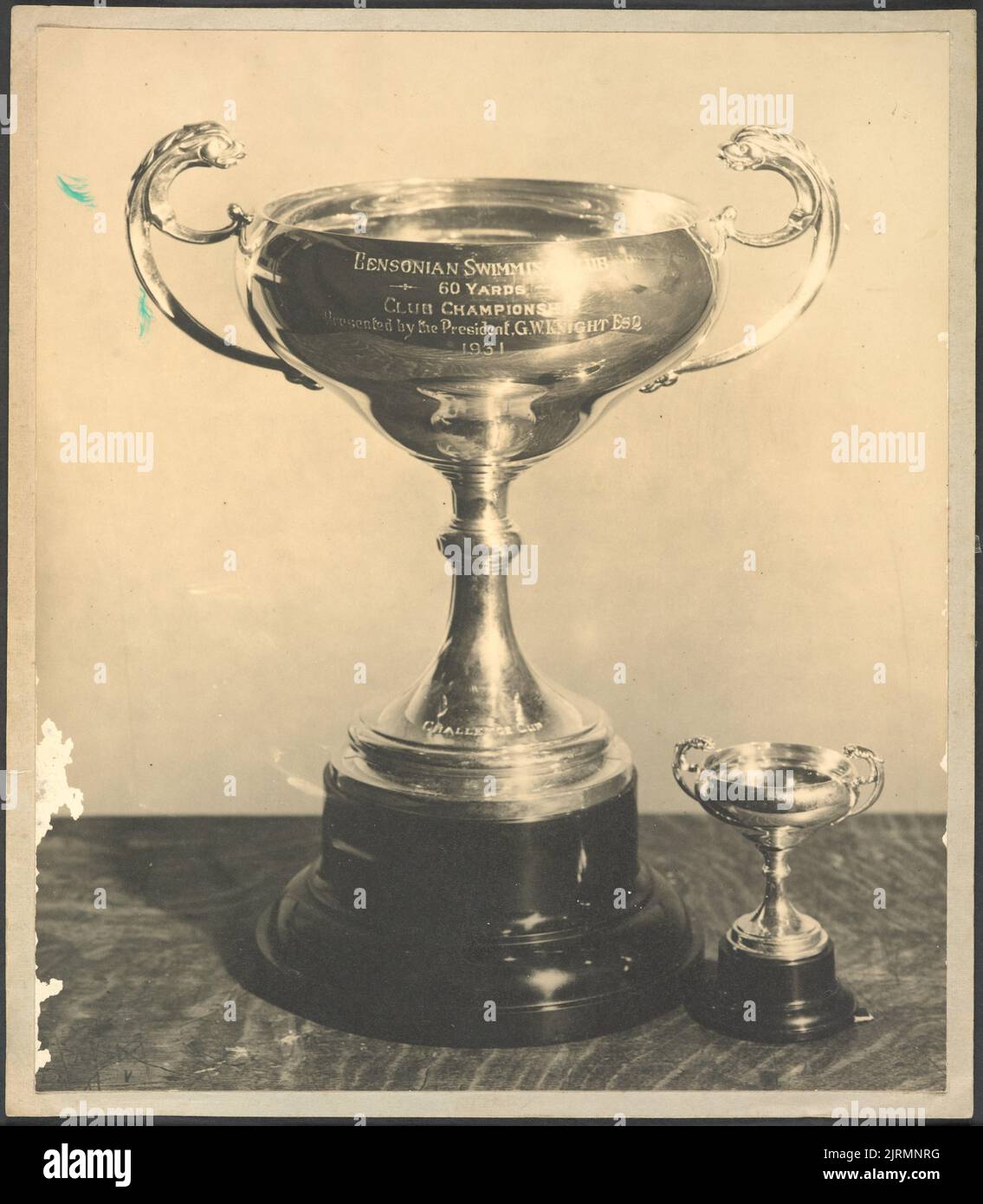 Swimming trophies won by Eric Lee-Johnson in London competition, circa ...