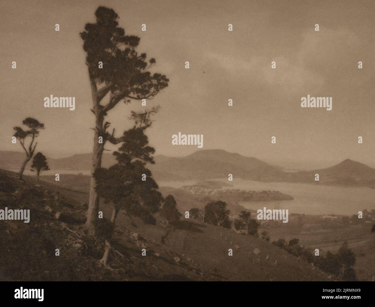 The Harbour, Otago, 1920s-1930s, Dunedin, by George Chance Stock Photo ...