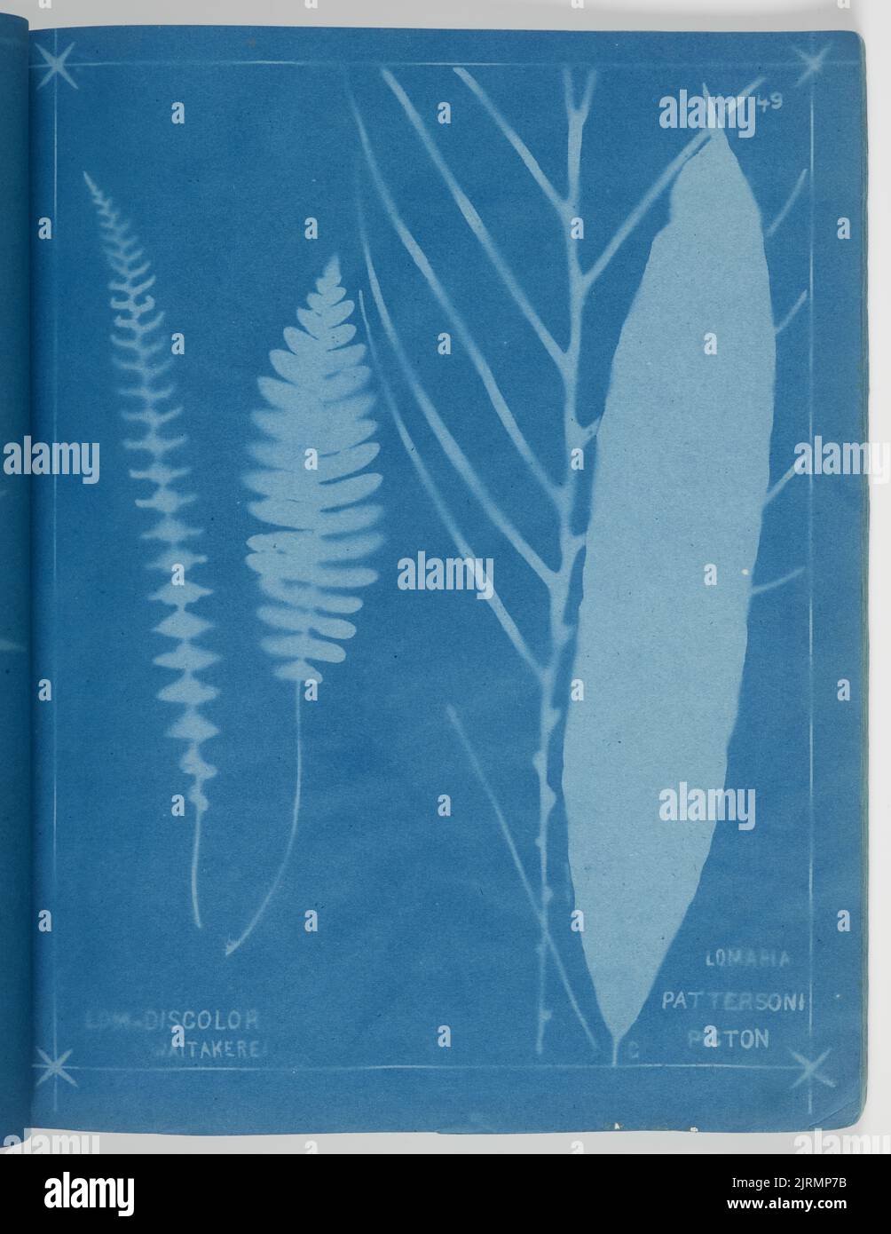 Picton fr hi-res stock photography and images - Alamy