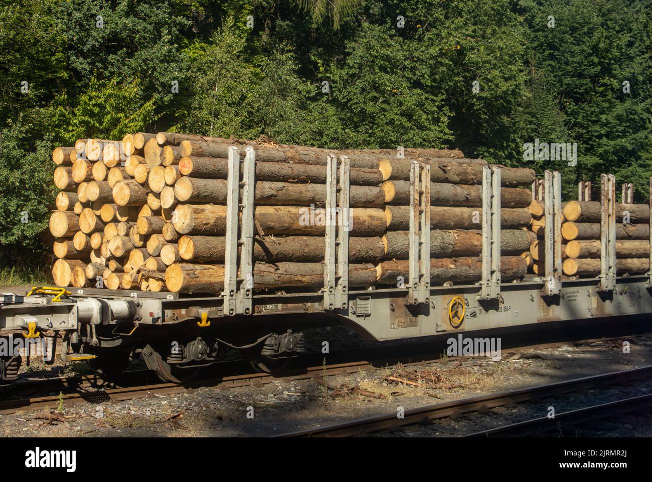 Logs loaded onto wagons standing at the stop Stock Photo - Alamy