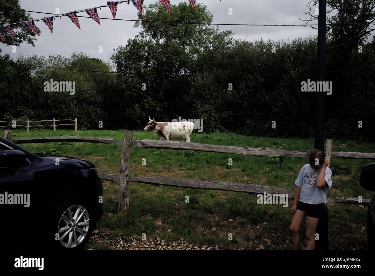 Fake Plastic cows at Washbrooks Family Farm Stock Photo - Alamy