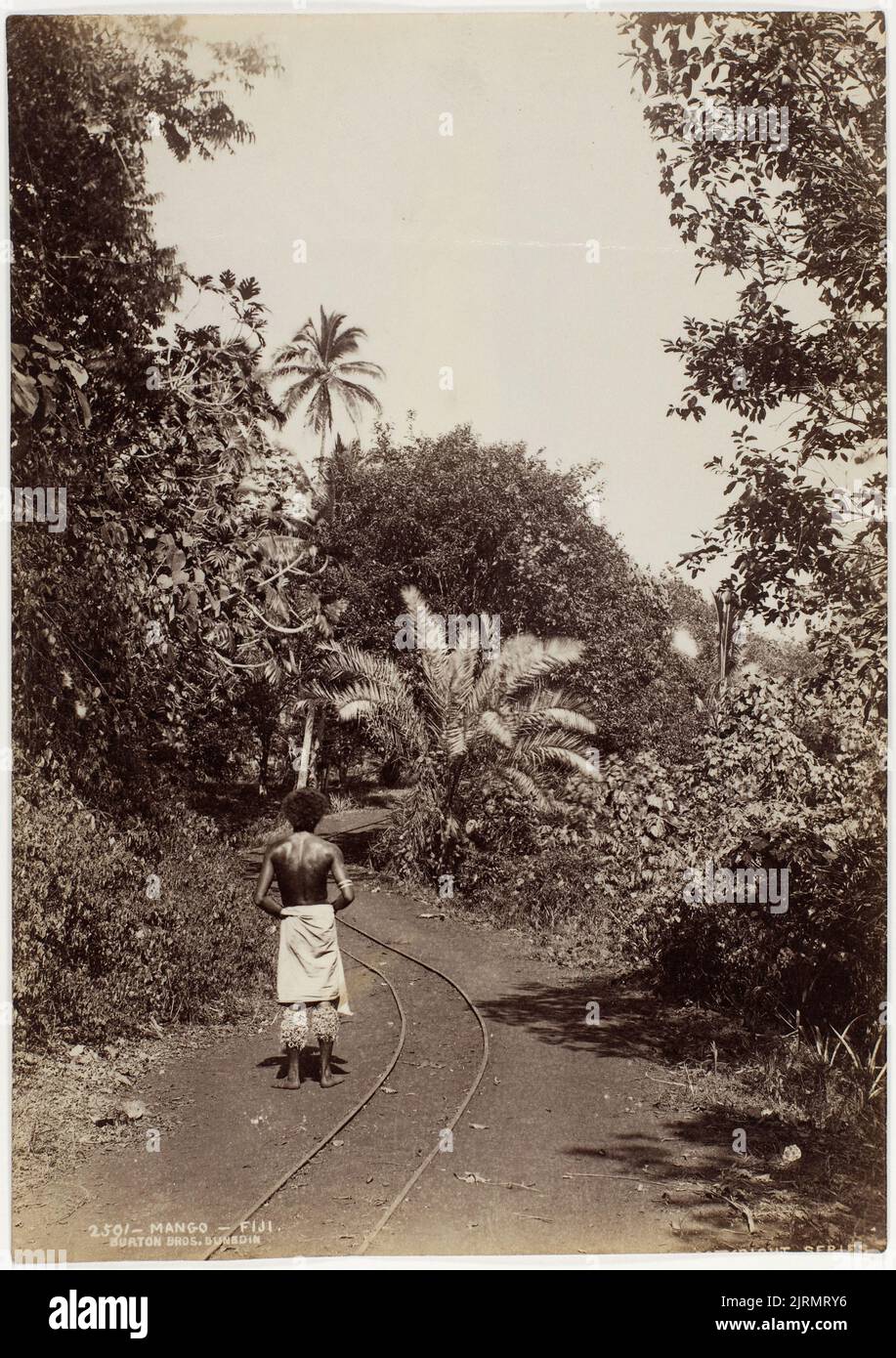 Mango [Mago], Fiji, New Zealand, by Burton Brothers Stock Photo - Alamy