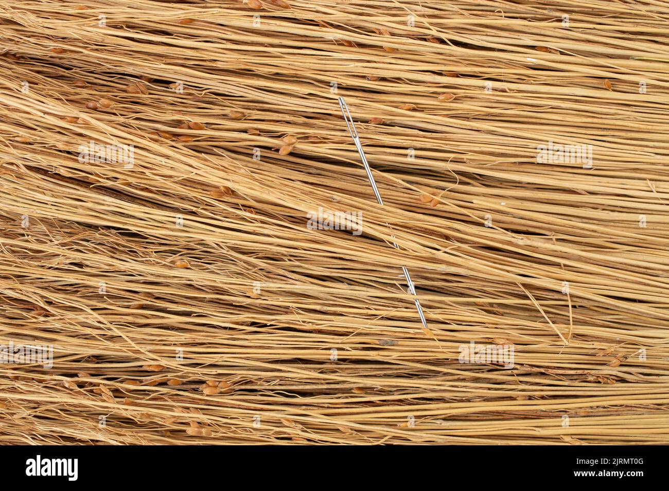 Finding A Needle In A Haystack Problem Solving Concept Close Up Stock