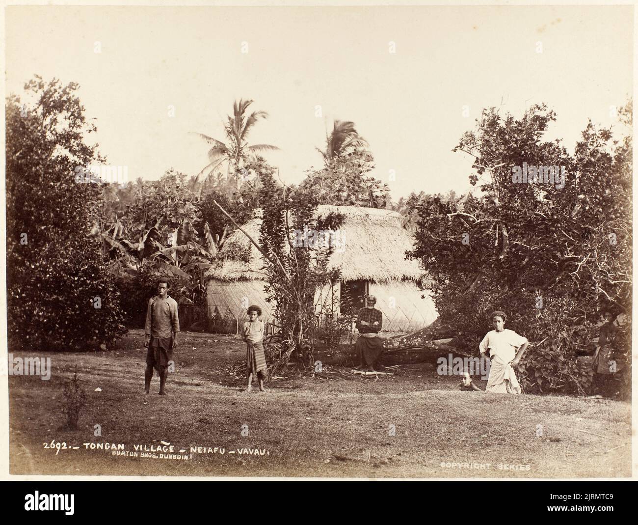 Vavau tongan village hi-res stock photography and images - Alamy