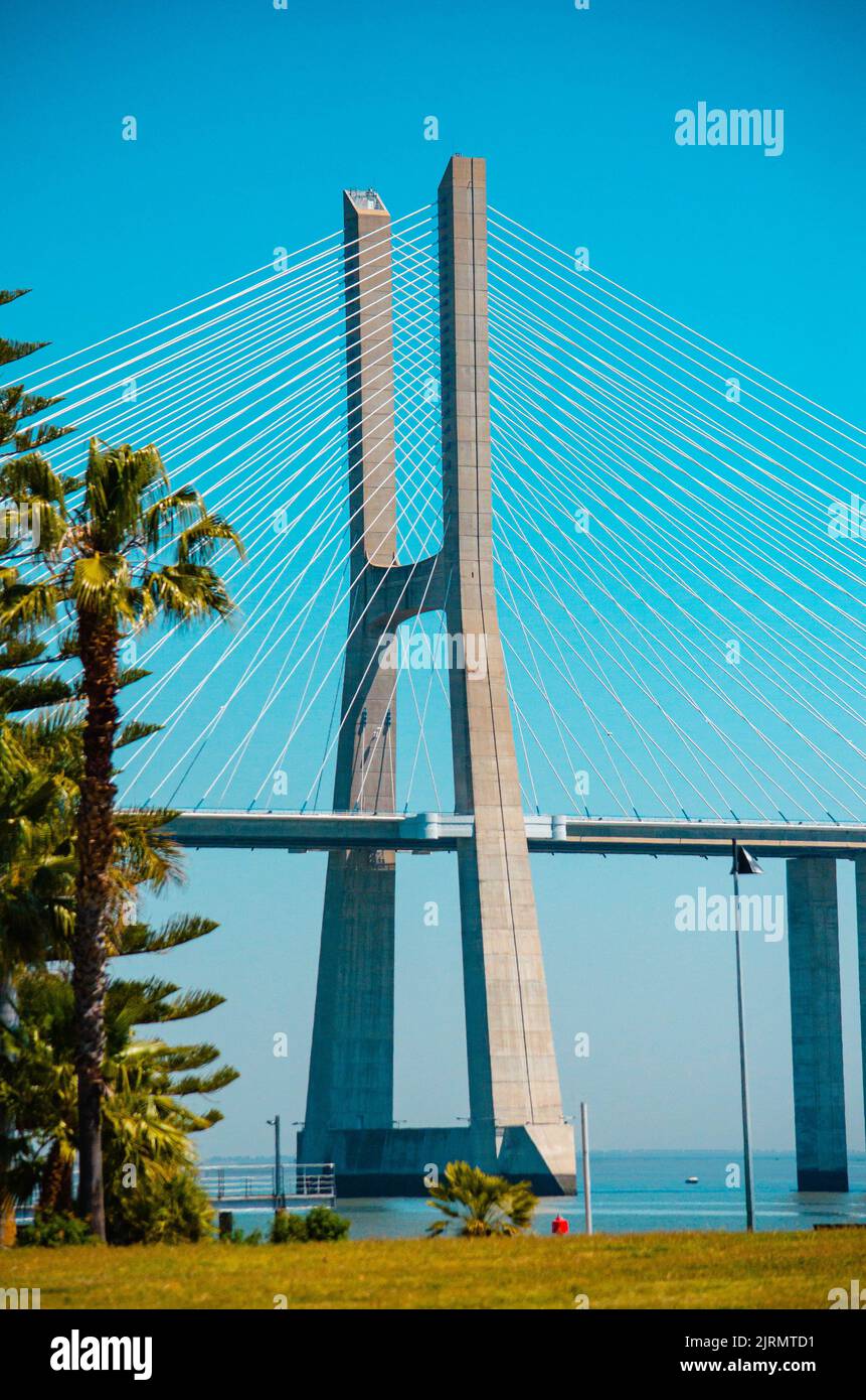 A beautiful view of a cable-stayed bridge with a clear sky background ...