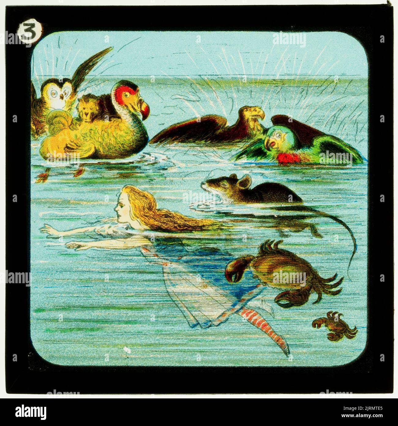 Alice in wonderland john tenniel mouse hi-res stock photography and ...