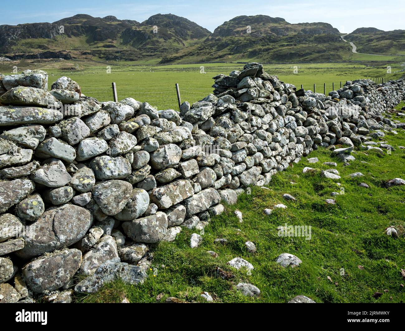 Old, lichen covered dry stone wall made from round boulders and beach ...
