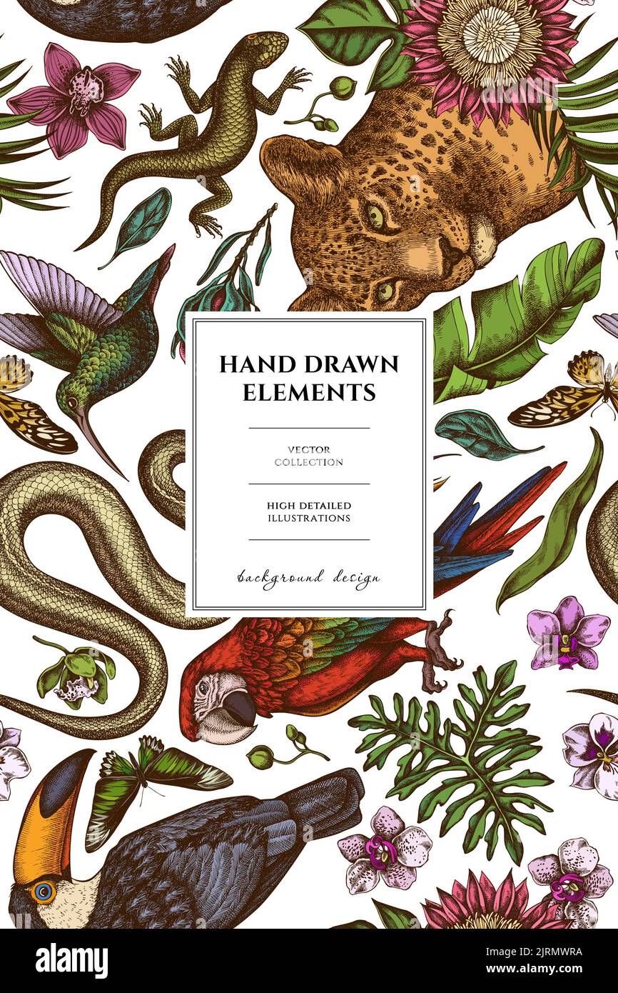 Tropical animals pattern card design. Hand drawn leopard, snake, lizard ...
