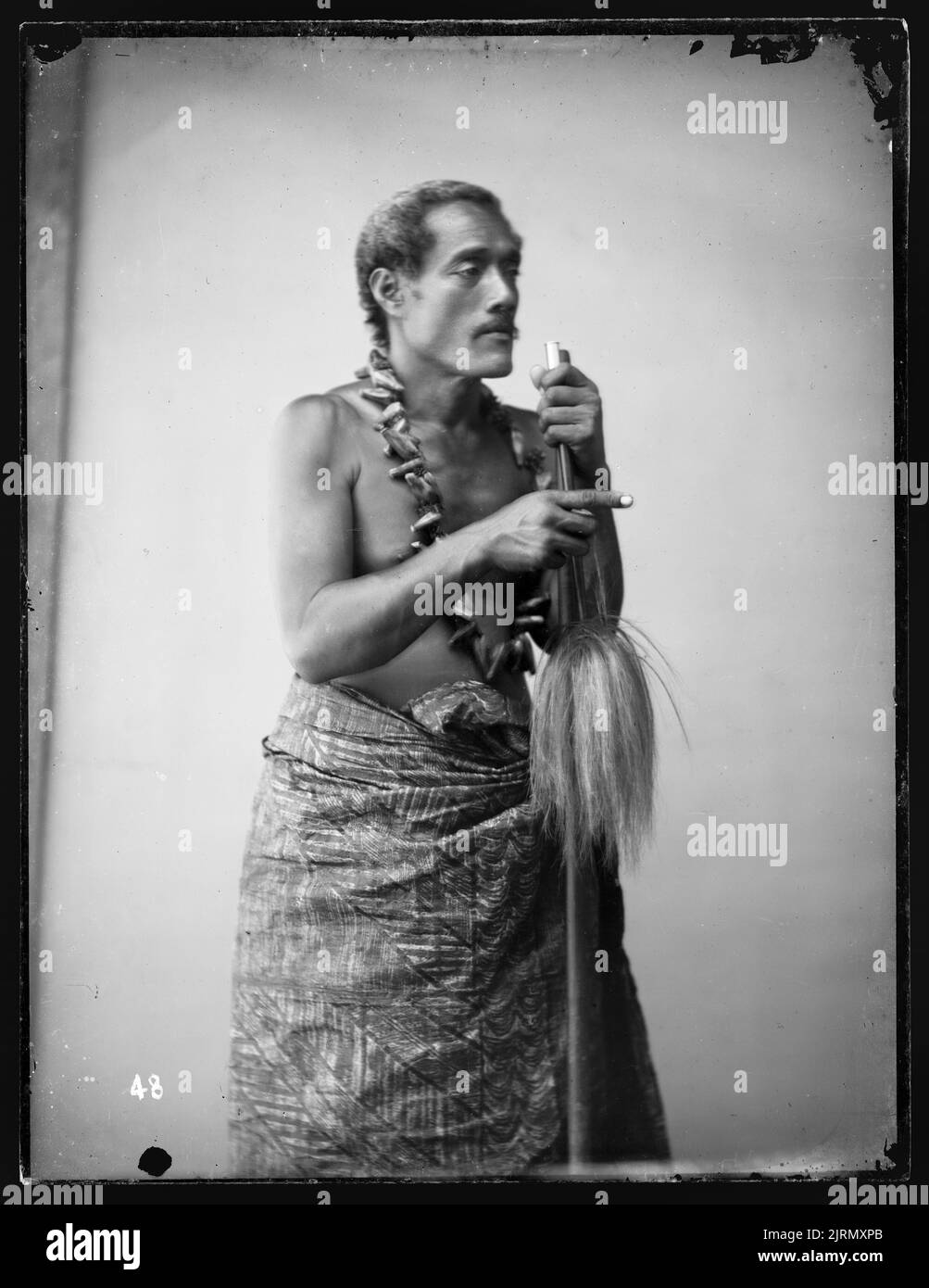 Lauaki namulauulu mamoe lauaki namulauulu mamoe hi-res stock ...