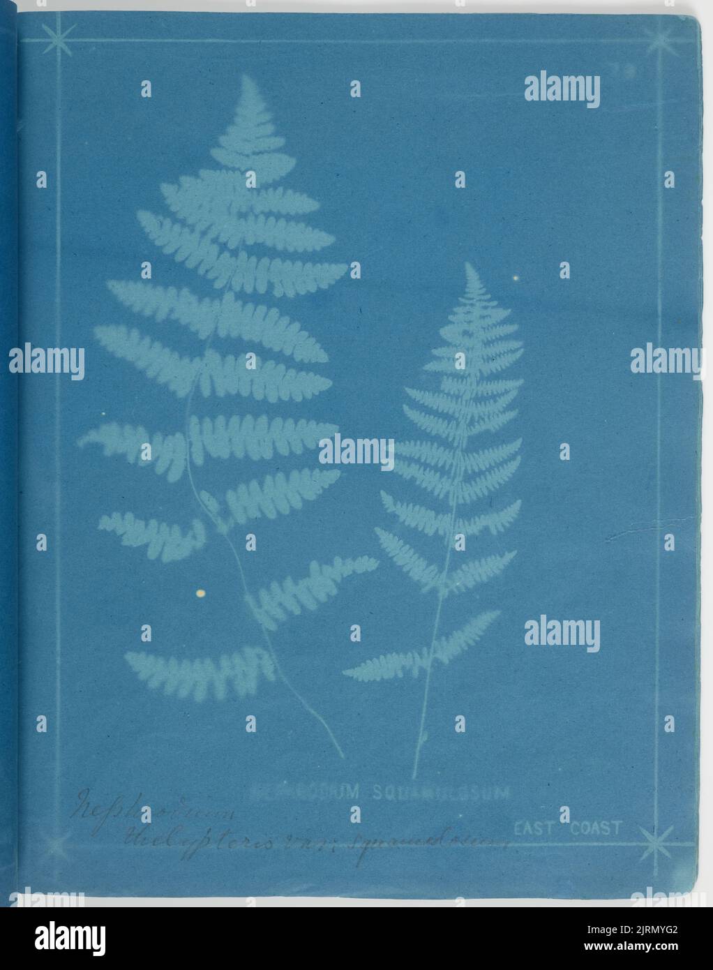 East coast from the album hi-res stock photography and images - Alamy