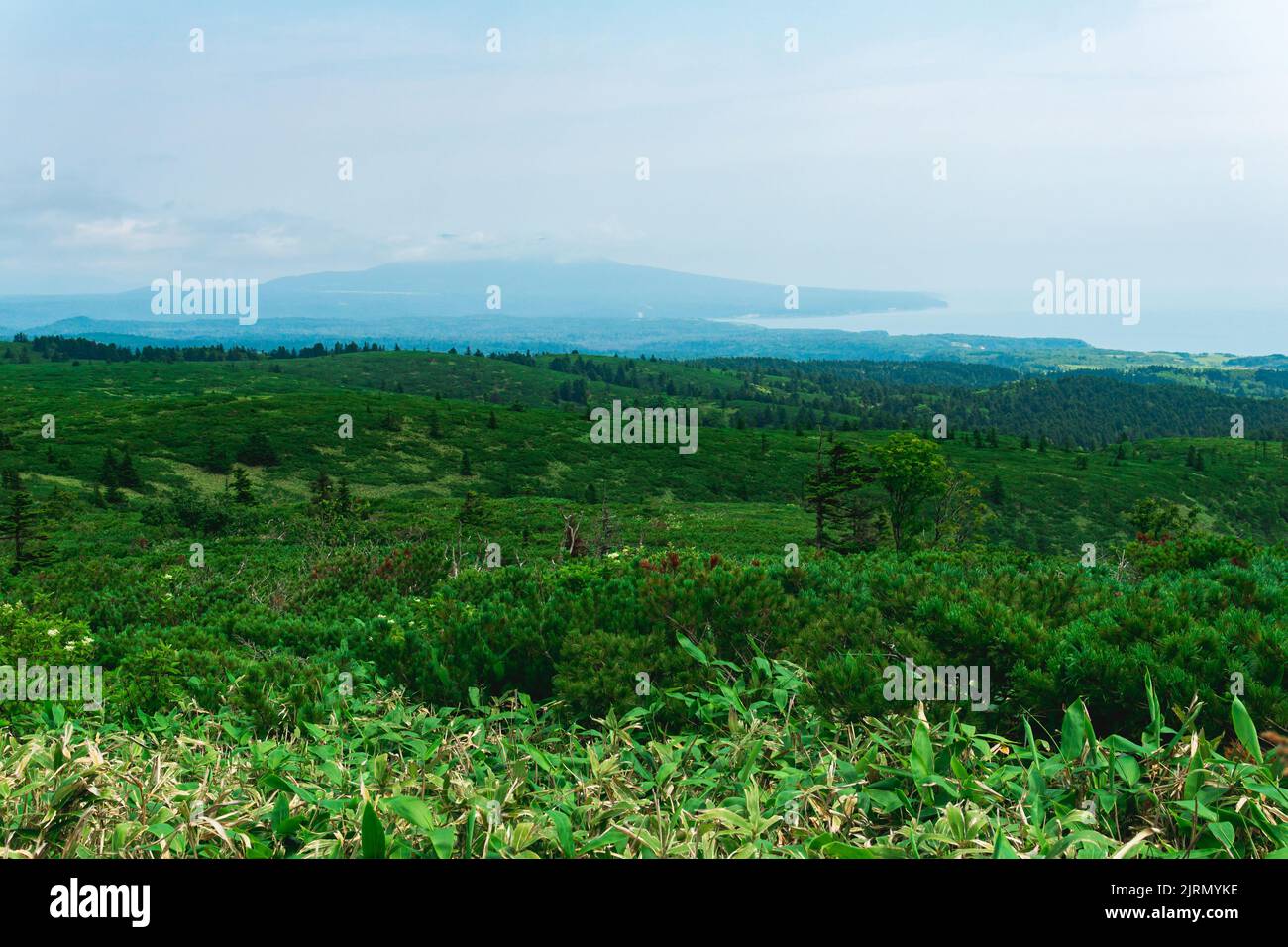 typical landscape of the southern Kuriles, view of Kunashir Island from ...
