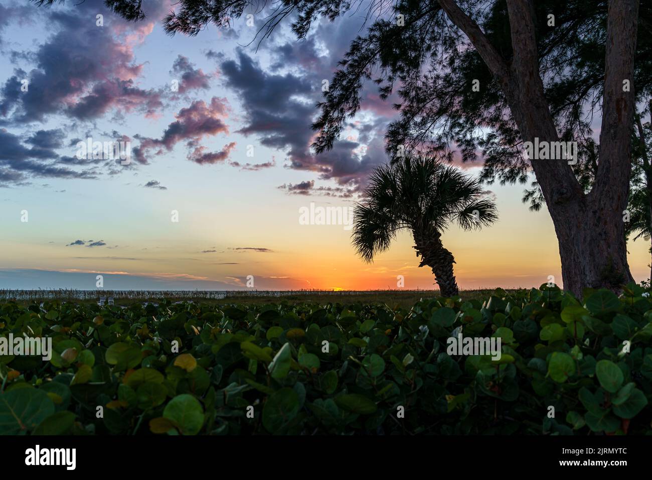 Holmes beach anna maria island hi-res stock photography and images - Alamy