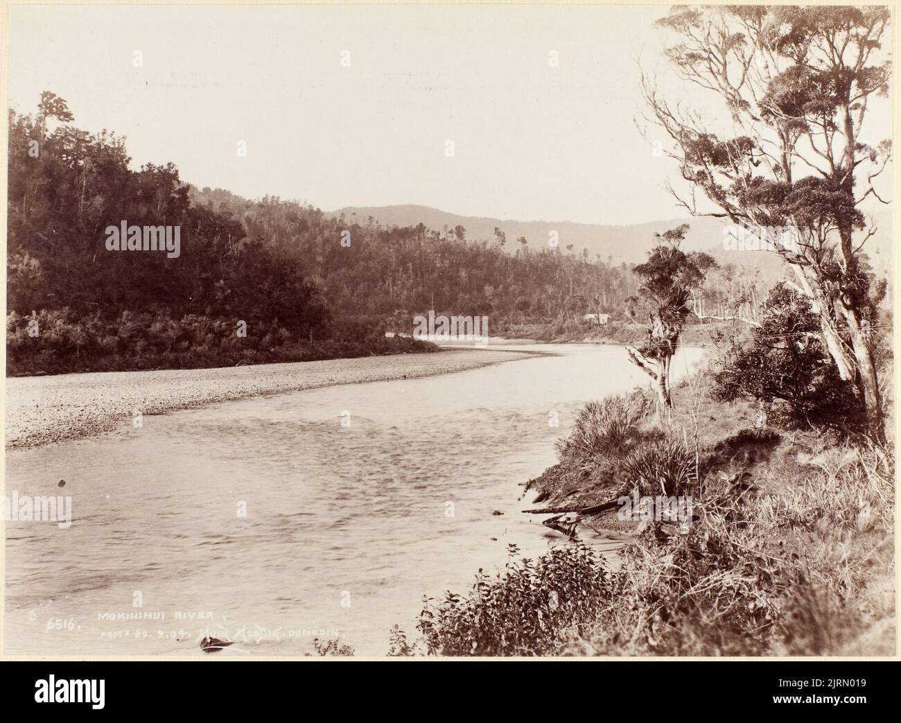 Mokihinui River, 1904, Dunedin, by Muir & Moodie Stock Photo - Alamy