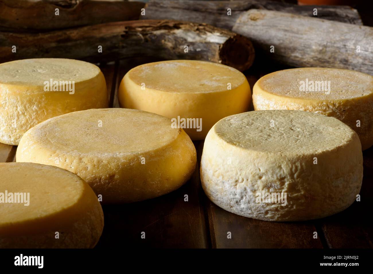 Traditional cured curd cheeses from the Cariri region, northeastern ...