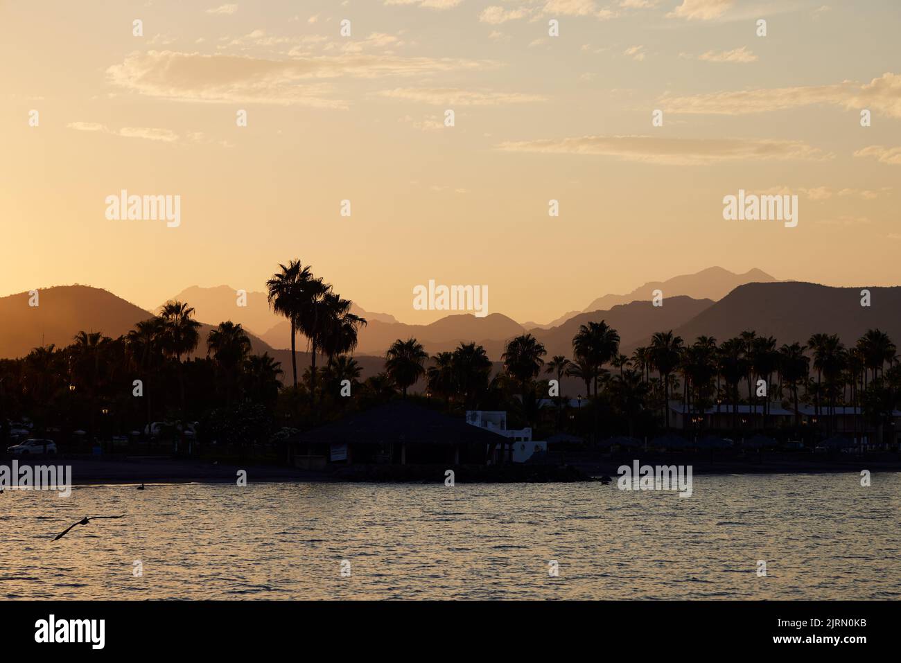 Landscape view of Loreto with architecture and palm trees in sunset ...