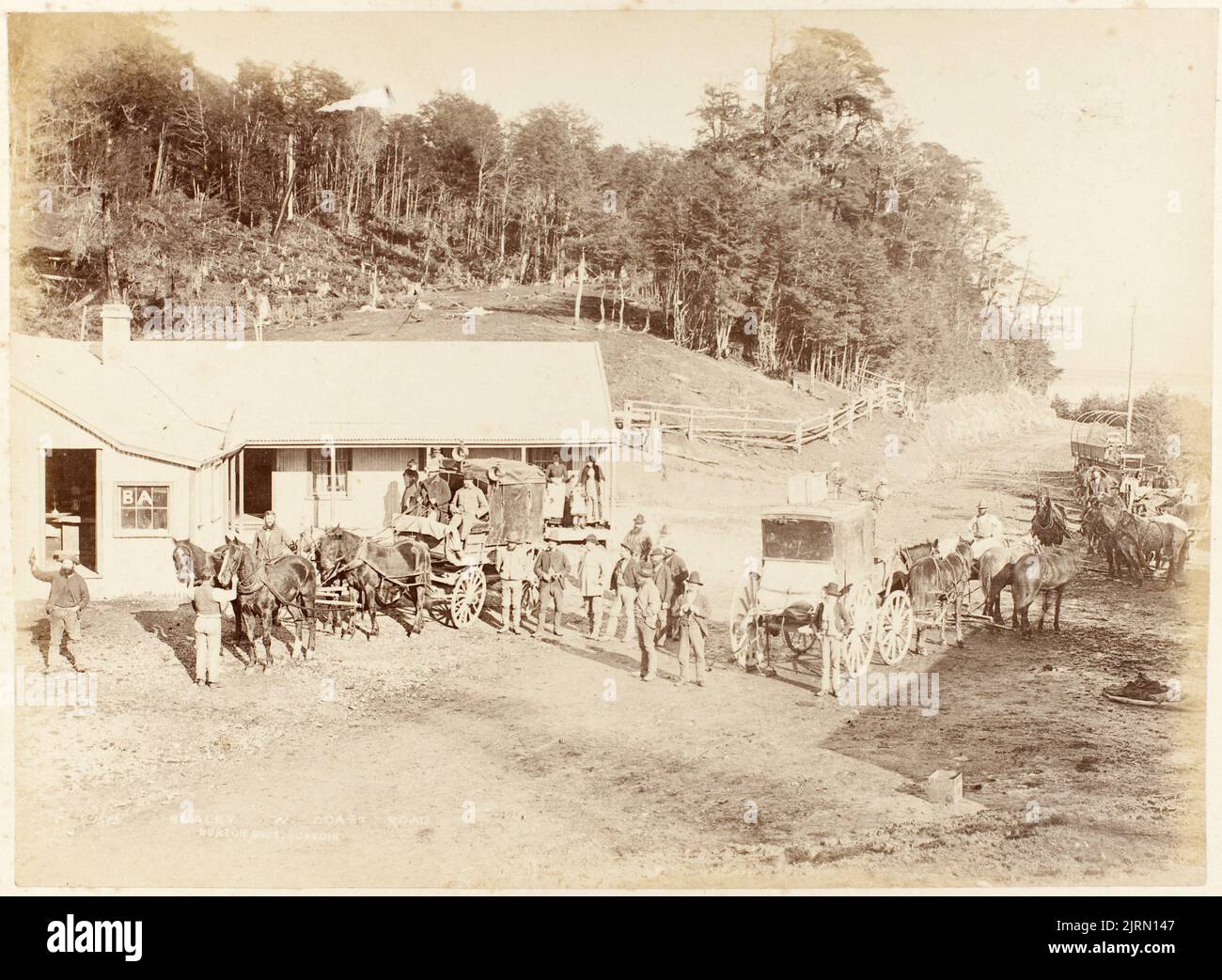 Bealey - West Coast Road. From the album: Views of New Zealand Scenery, circa 1880, West Coast ...