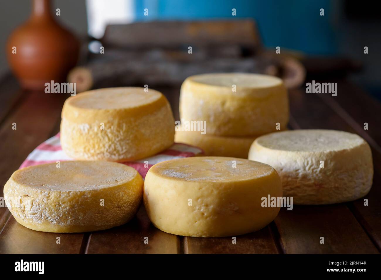 Traditional cured curd cheeses from the Cariri region, northeastern ...