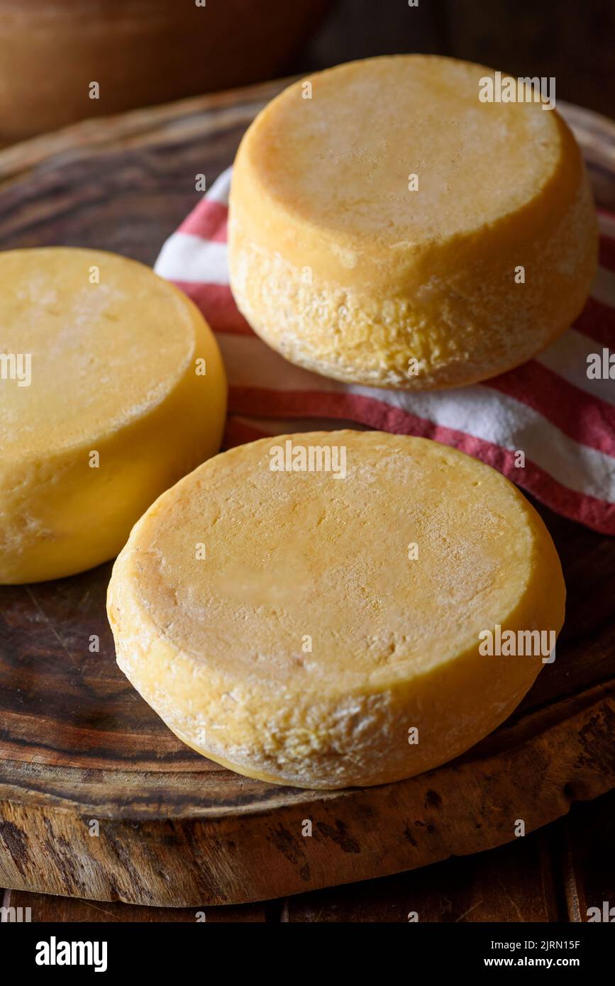 Traditional cured curd cheeses from the Cariri region, northeastern ...