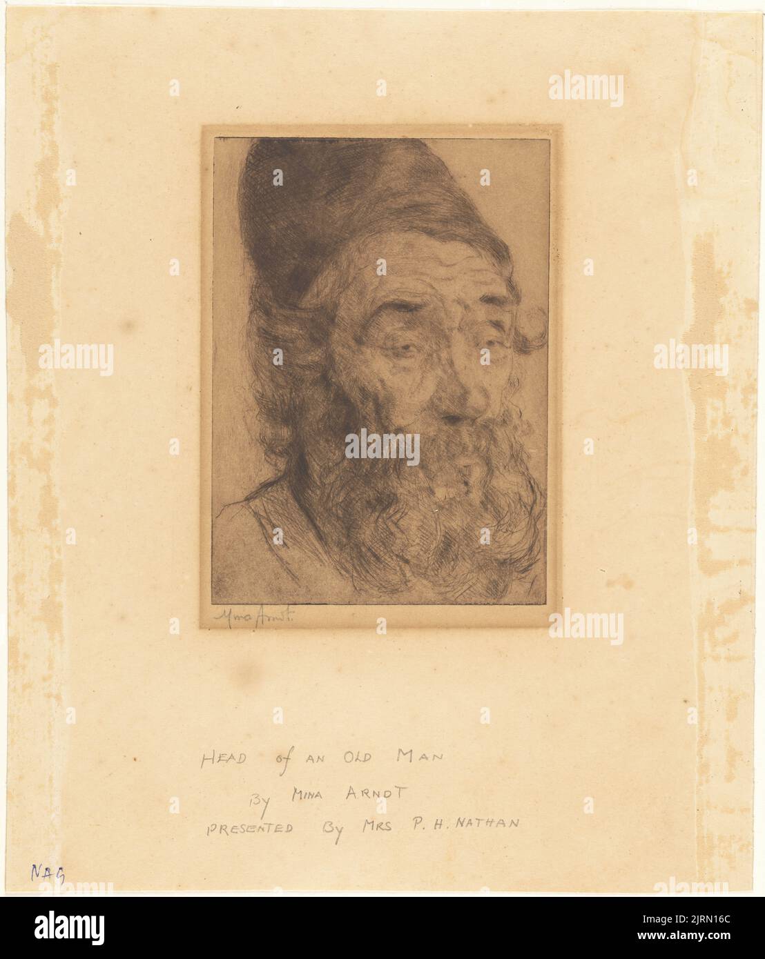 The old Jew's head, circa 1910, by Mina Arndt. Gift of Mrs P.H. Nathan ...