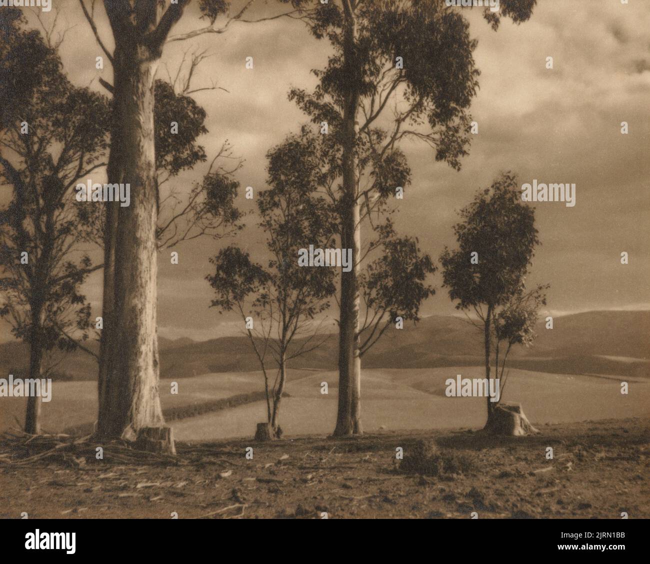 Storm, Wanaka, 1920s-1930s, Dunedin, by George Chance Stock Photo - Alamy