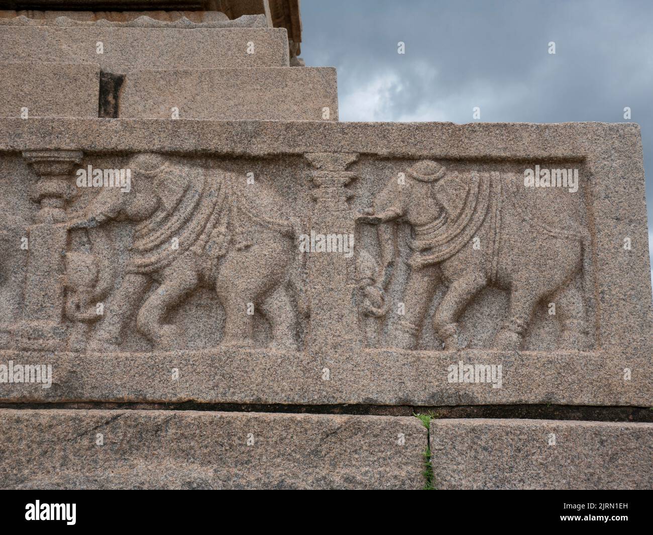 Low relief carving of Elephant on the wall of Mahanavami platform at ...