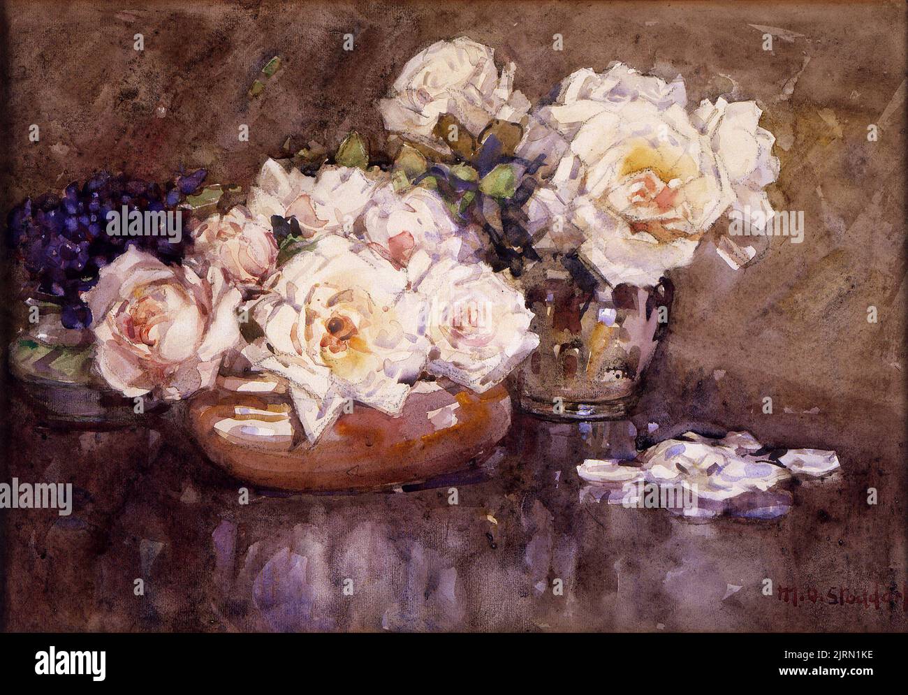 Roses (white), circa 1924, by Margaret Stoddart. Gift of the New ...