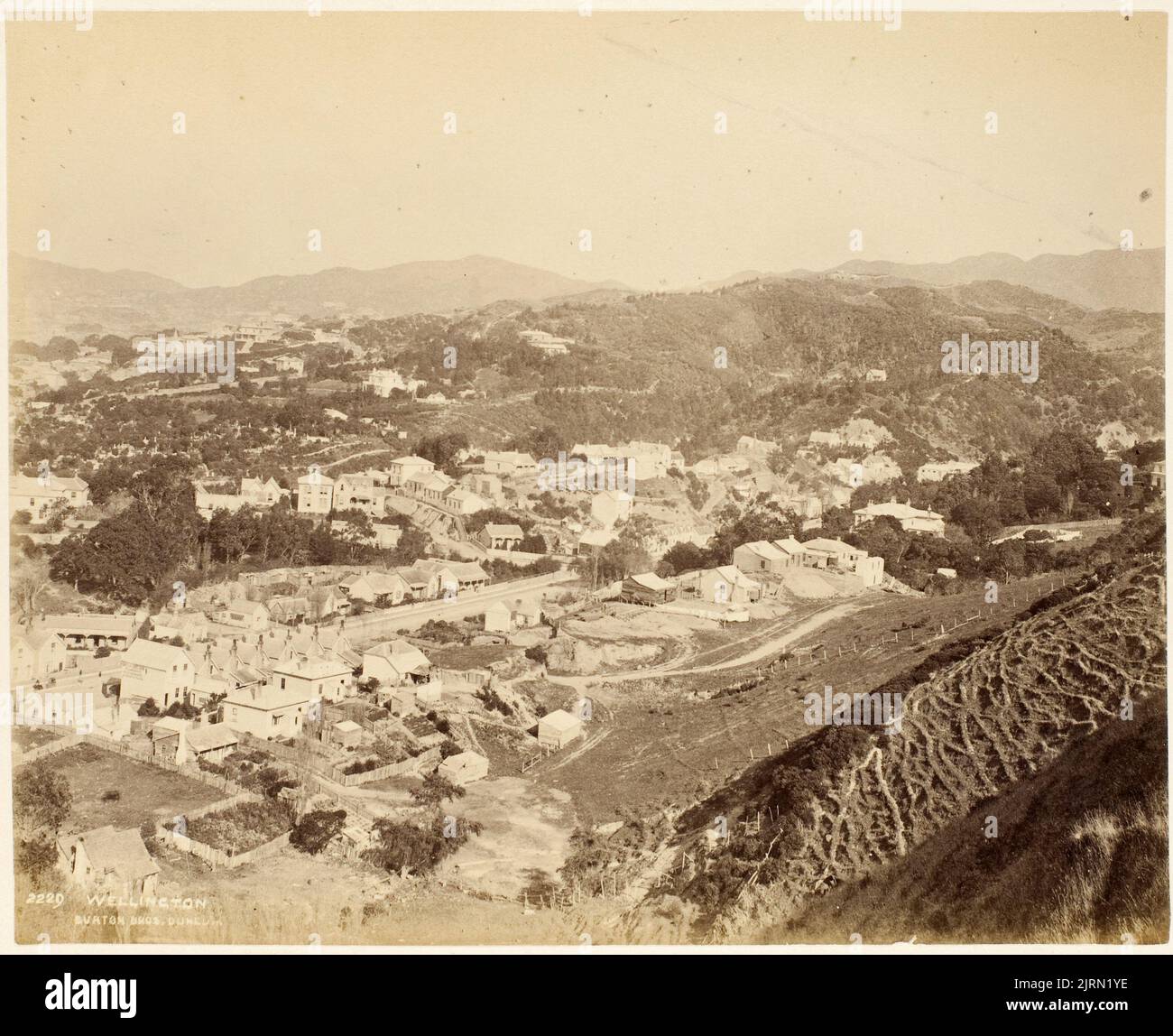 Wellington. From the album: New Zealand Views, circa 1880, Wellington ...