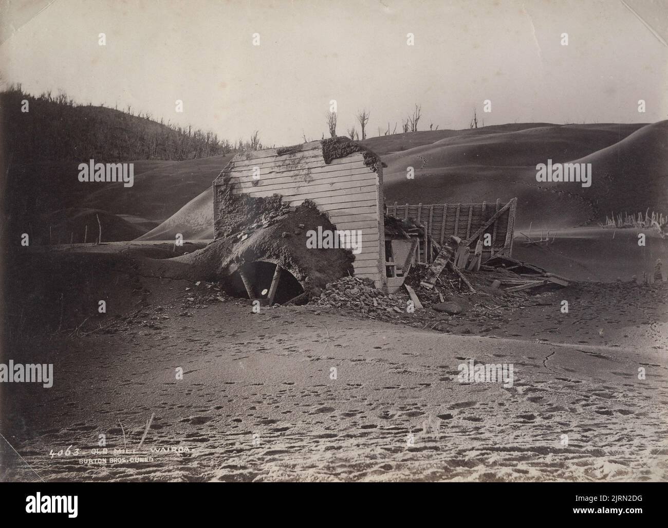 Old Mill, Wairoa, 1886, North Island, by A A Ryan Stock Photo - Alamy