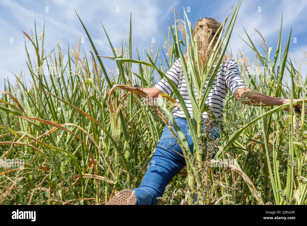 Disappearing model hi-res stock photography and images - Alamy