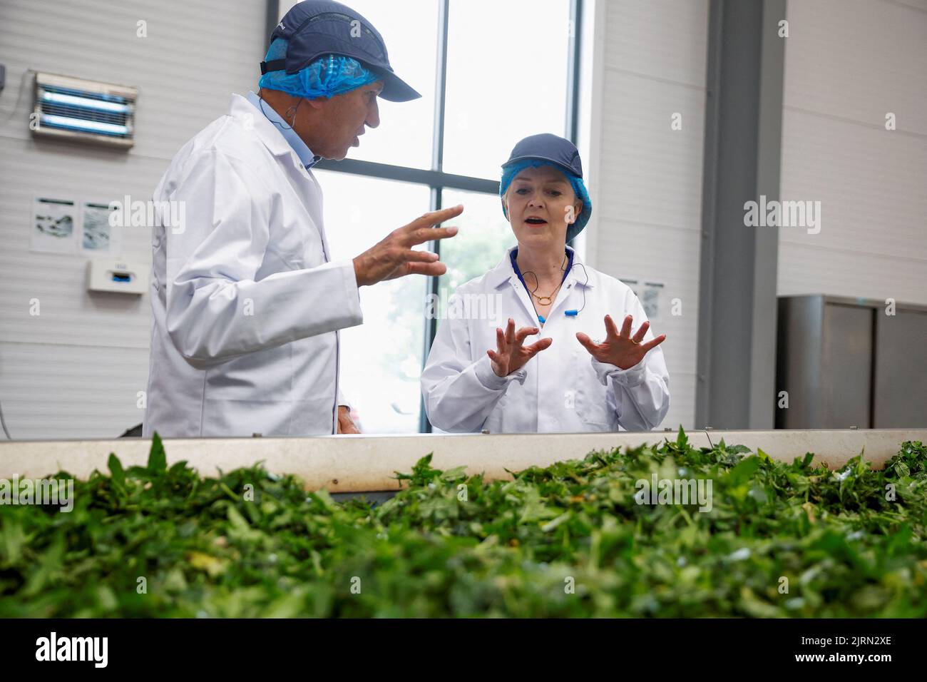 Condimentum hi-res stock photography and images - Alamy