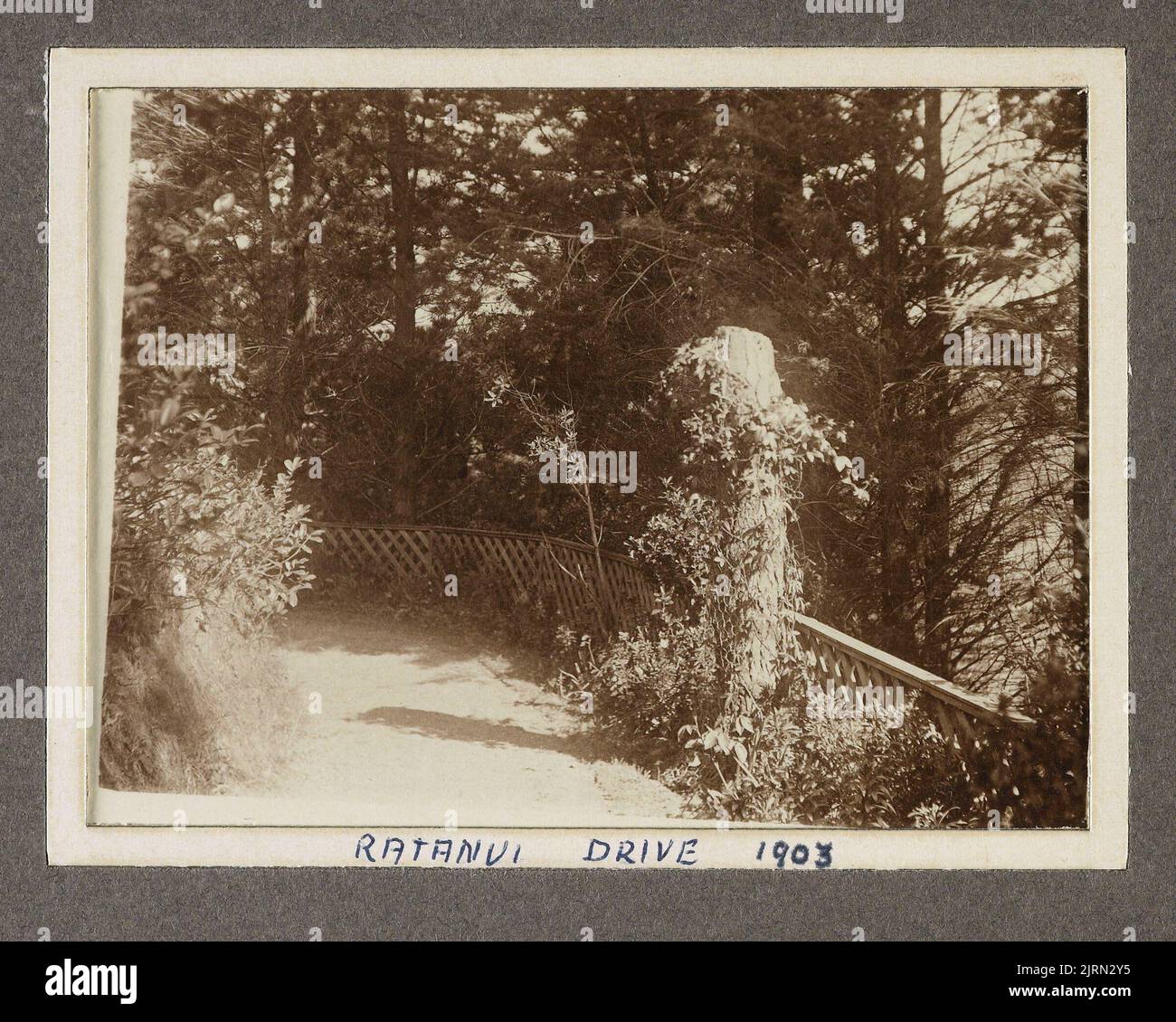 Ratanui hi-res stock photography and images - Alamy