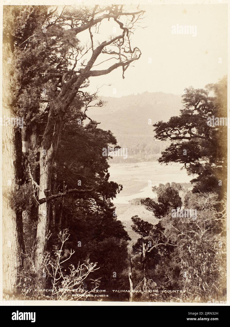 Ruapehu 8878 feet from Taumaranui - King Country. From the album: Views ...