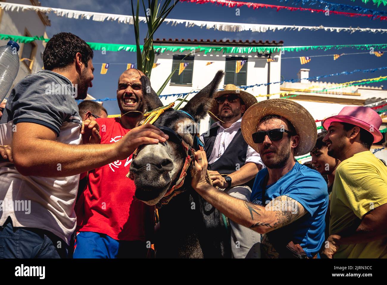 Ferreries, Spain. 25th Aug, 2022. A costumed reveler rides on a donkey ...