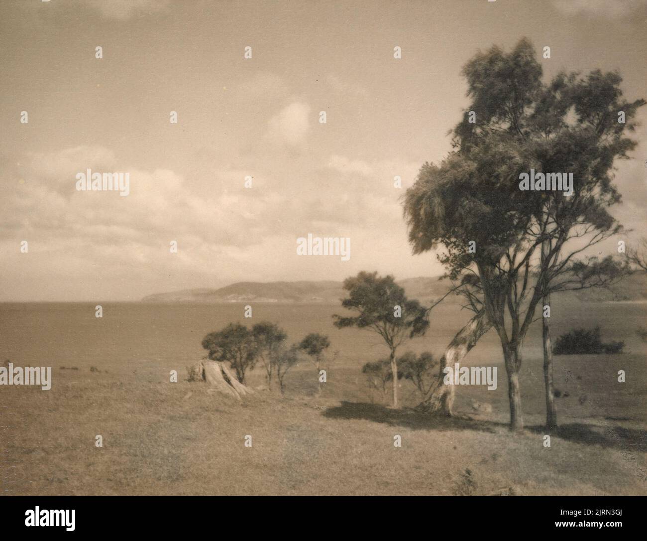 On the Otago coast, 1920s-1930s, Dunedin, by George Chance. Gift of an ...